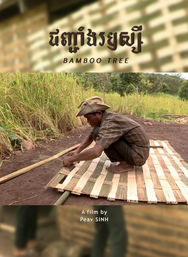 Bamboo tree - Bophana